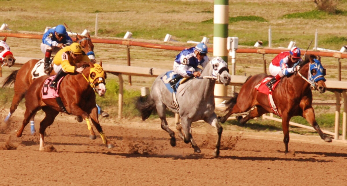 Guaranteed to Bleed? Treatment for EIPH - Barrel Horse News