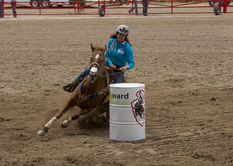 Pro Rodeo Starter Kit - Barrel Horse News
