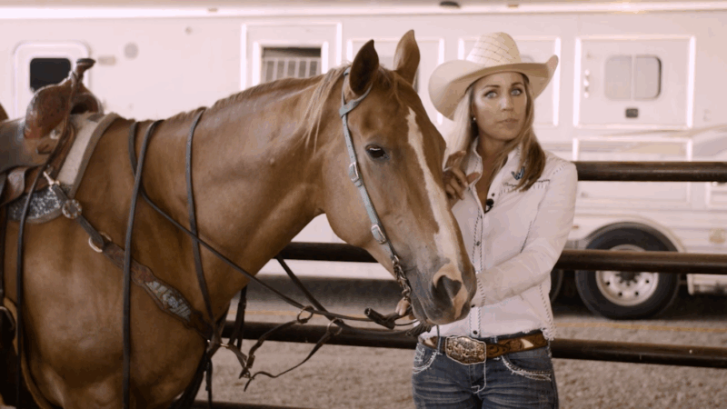 Martingales and Draw Reins - Barrel Horse News