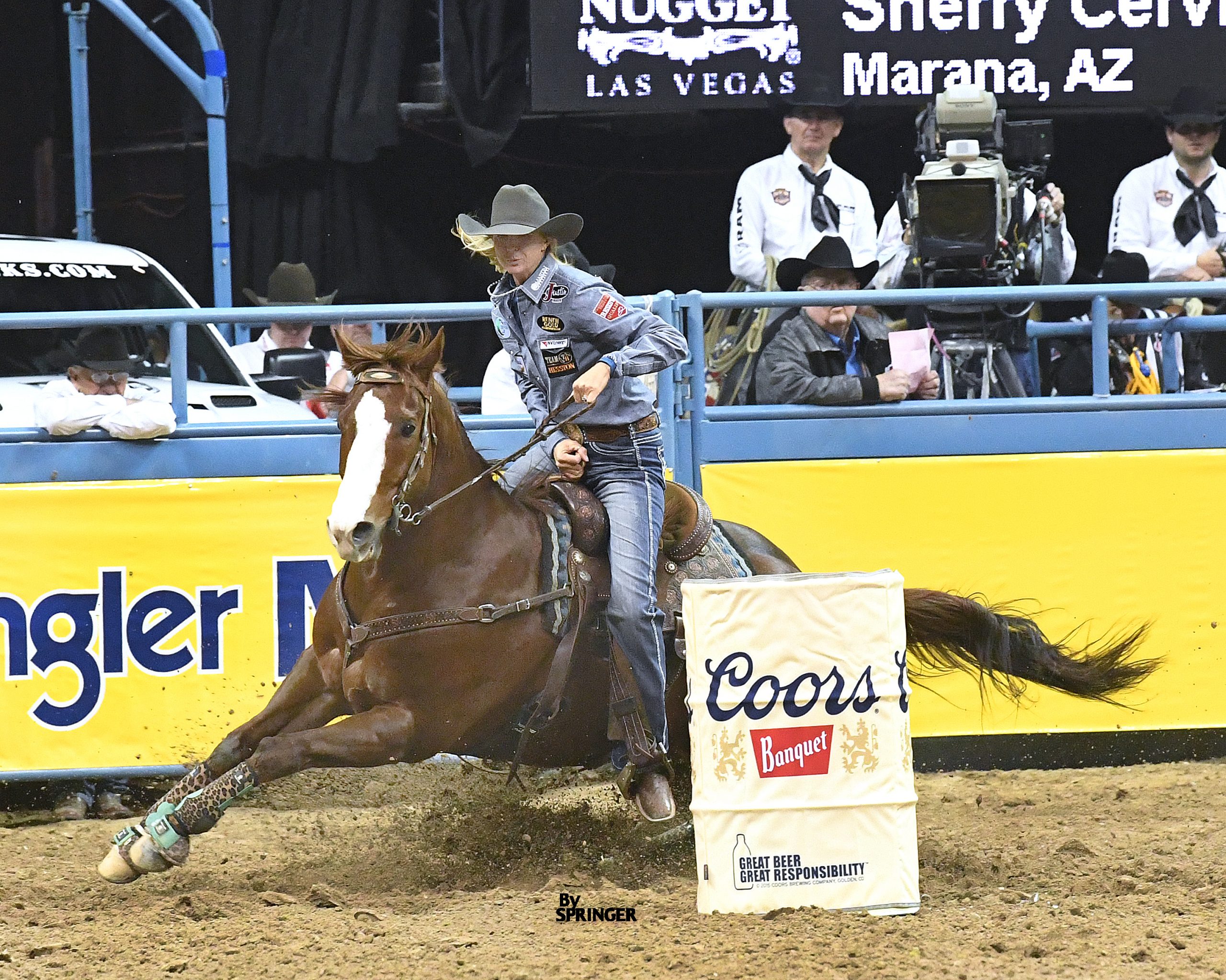 Equi-Stat's 10-Year Barrel Racing Statistics - Barrel Horse News
