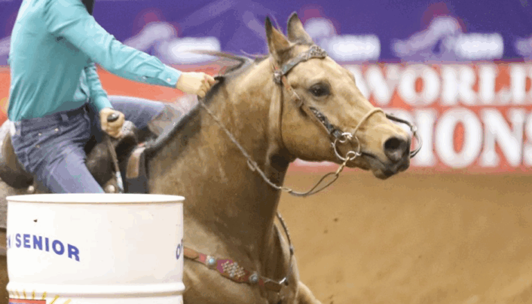 Staunching the Bleeding: All About Lasix - Barrel Horse News