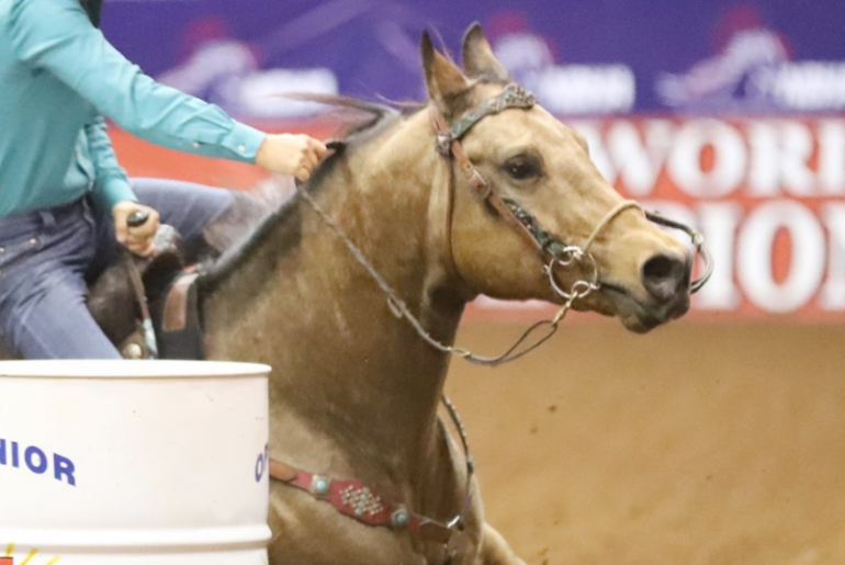 Staunching the Bleeding: All About Lasix - Barrel Horse News