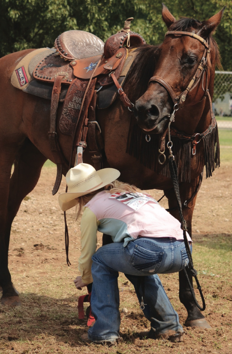 Staunching the Bleeding: All About Lasix - Barrel Horse News