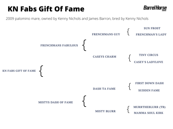 WPRA Top 15 NFR Barrel Horse Bloodlines - Barrel Horse News