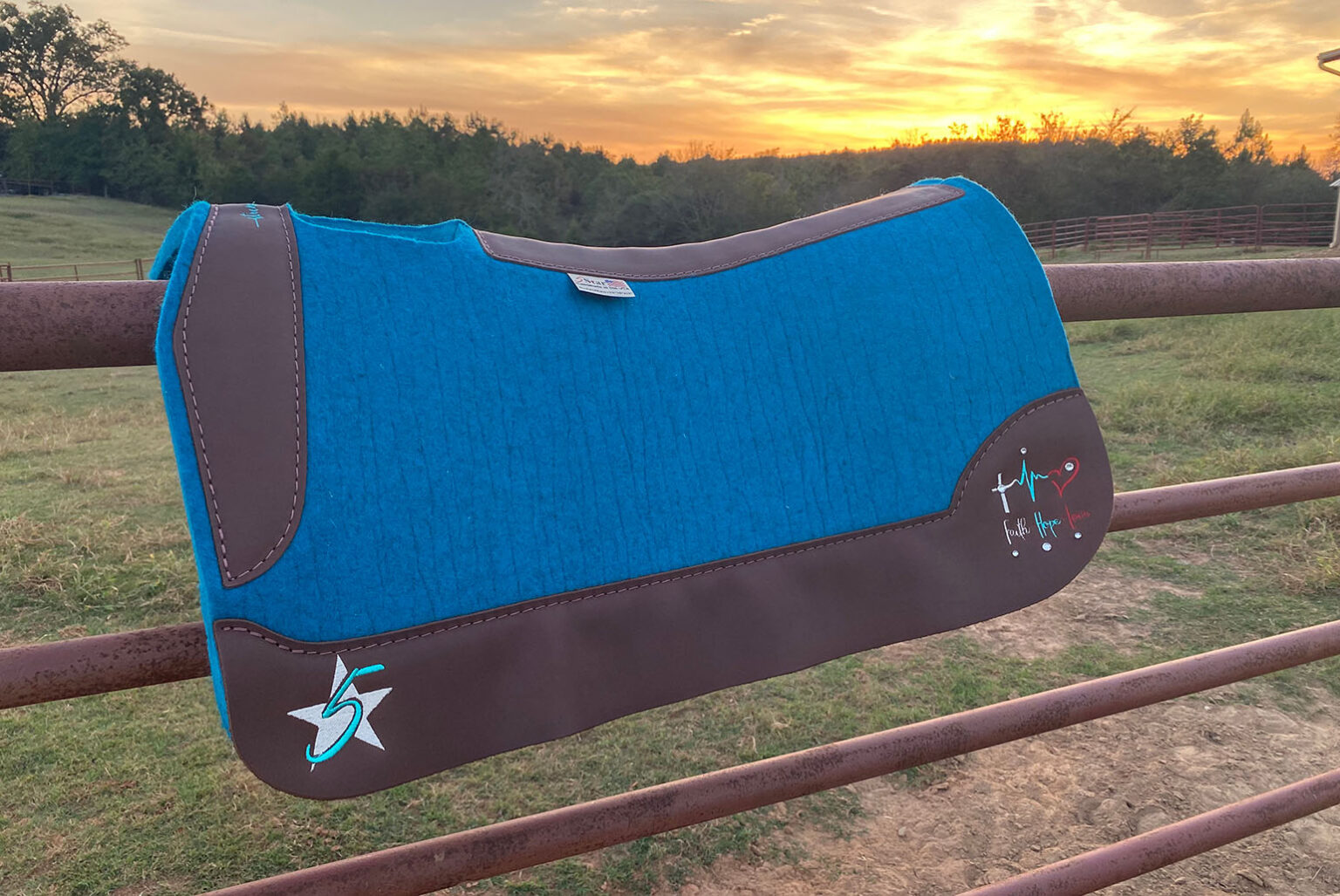 Protect Your Performance Horse with a Custom 5 Star Pad!