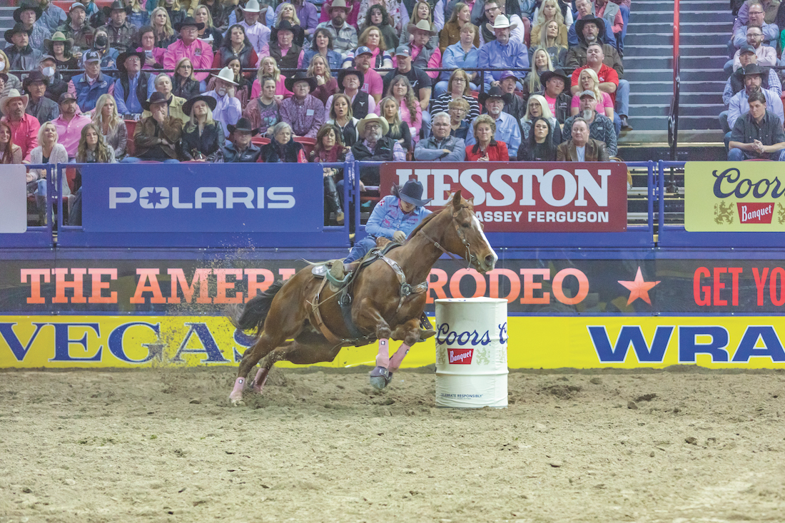 Lessons Learned - Barrel Horse News
