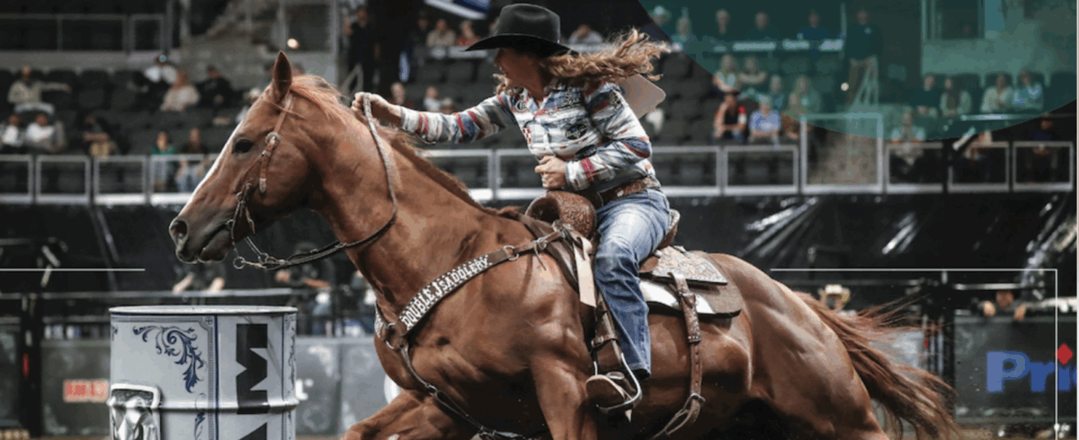 Where Credit is Due: 2023 NFR Barrel Racing Horses - Barrel Horse News