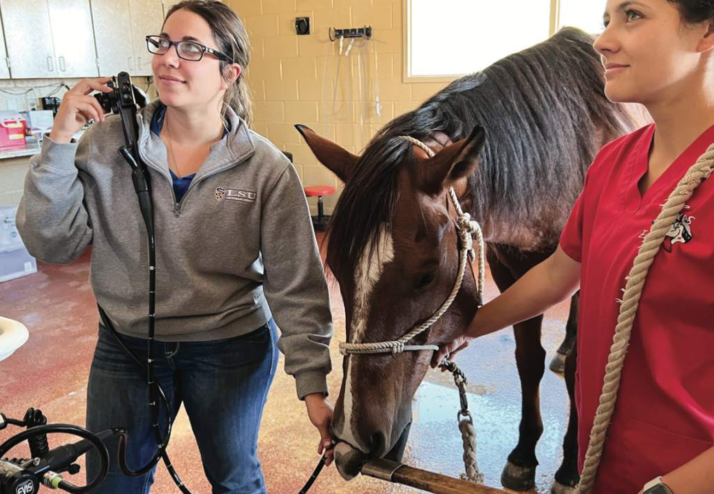 Bleeders Explained - Barrel Horse News