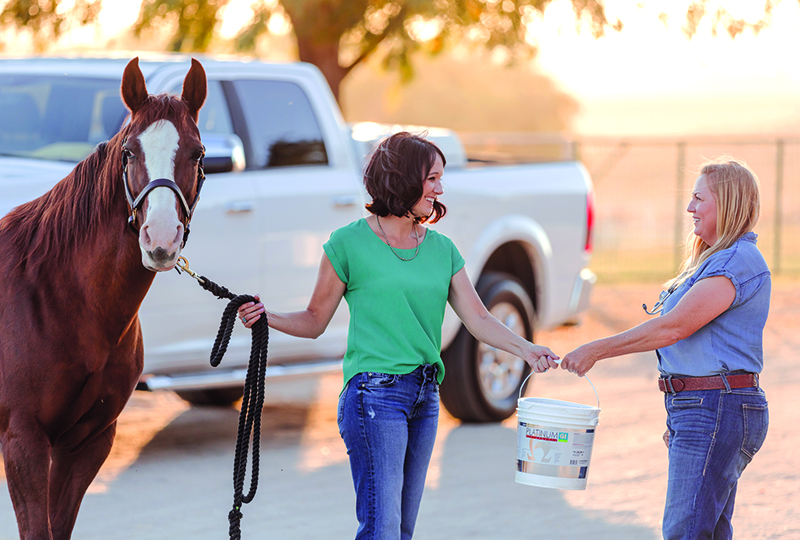Platinum Performance® GI: Wellness + Digestive Care - Barrel Horse News