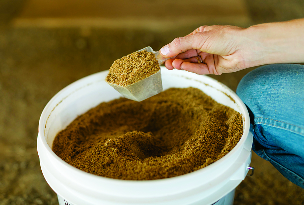 Platinum Performance® GI: Wellness + Digestive Care - Barrel Horse News