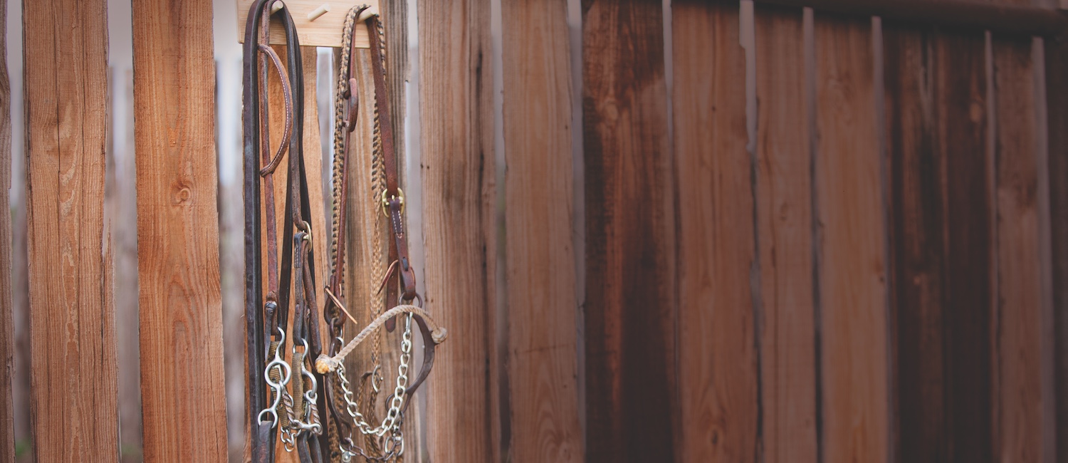 Tack & Equipment Guide - Barrel Horse News