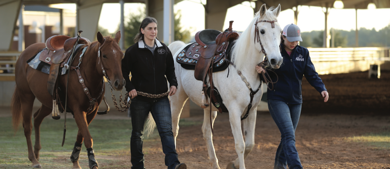 Simple Safety - Barrel Horse News