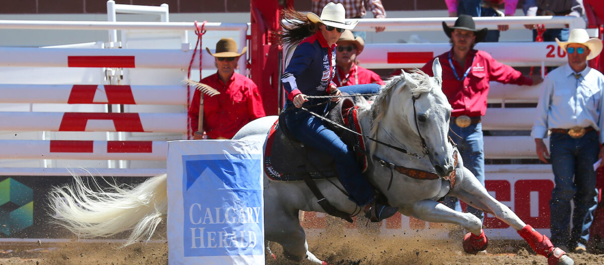 Fourth of July Firecrackers: Meet the Top 10 Equine Athletes Over the ...