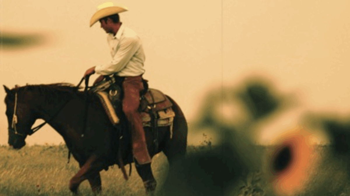 Getting the Right Start - Barrel Horse News