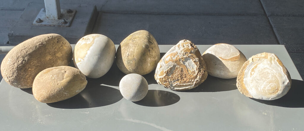 Like A Rock: Recognizing and Treating Enteroliths - Barrel Horse News