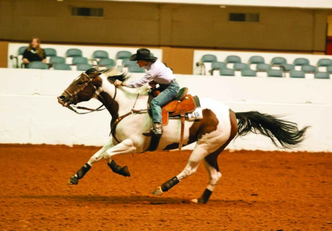 American Paint Horse Association to Award Over $1.6 Million at 2025 ...