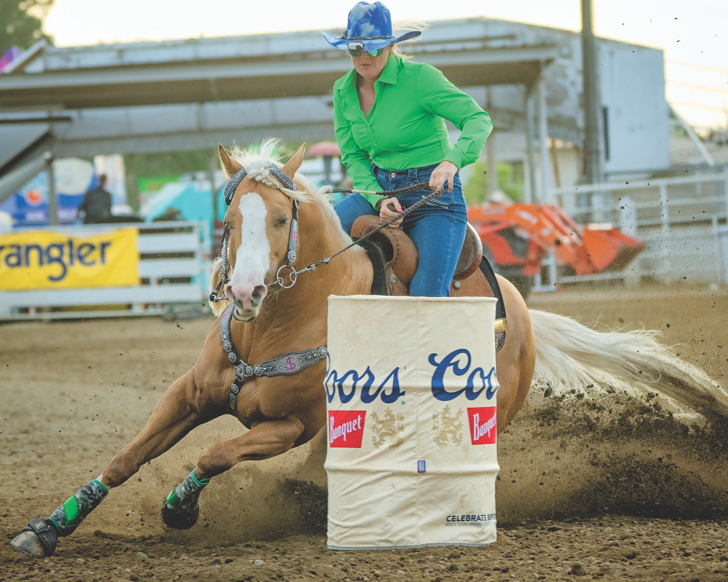 Spotlight on First-Time NFR Qualifiers: Tricia Aldridge - Barrel Horse News
