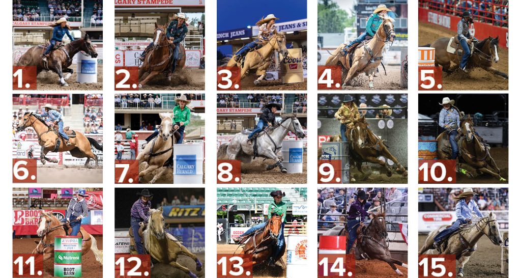 Hunting Unicorns: 2025 WPRA Top 15 NFR Barrel Horses - Barrel Horse News