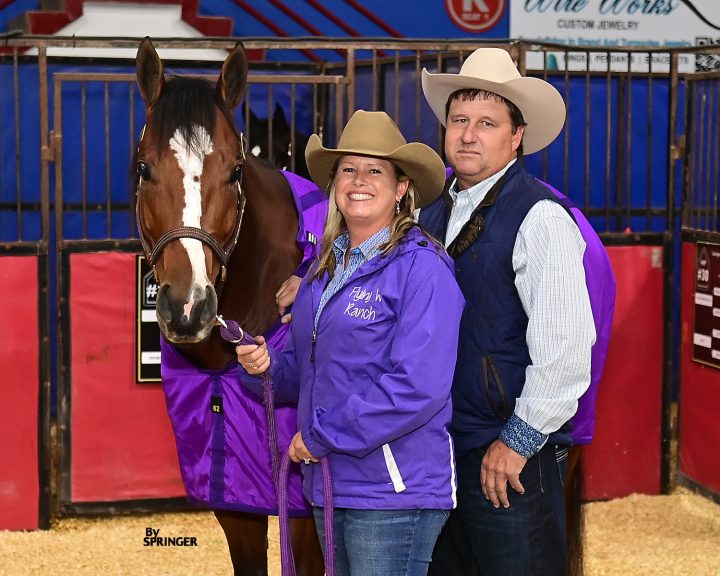 EquiStat All-Time BFA Leaders - Barrel Horse News