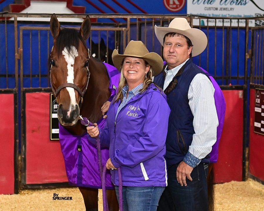 EquiStat All-Time BFA Leaders - Barrel Horse News