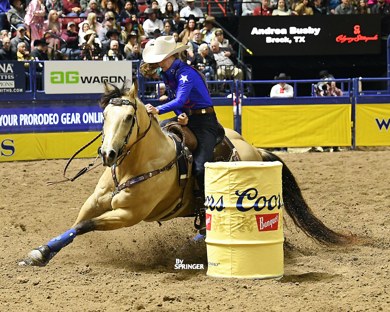 All Eyes On Him: Tricia Aldridge Wins Round Four of the Wrangler NFR ...