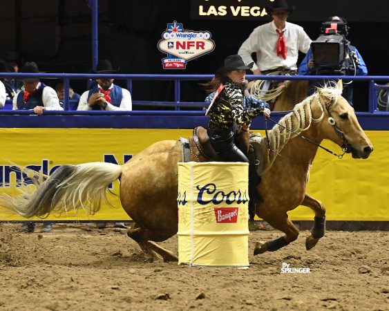 A Bunch of Dinero: Hayle Gibson-Stillwell and Buncha Dinero Win Round ...