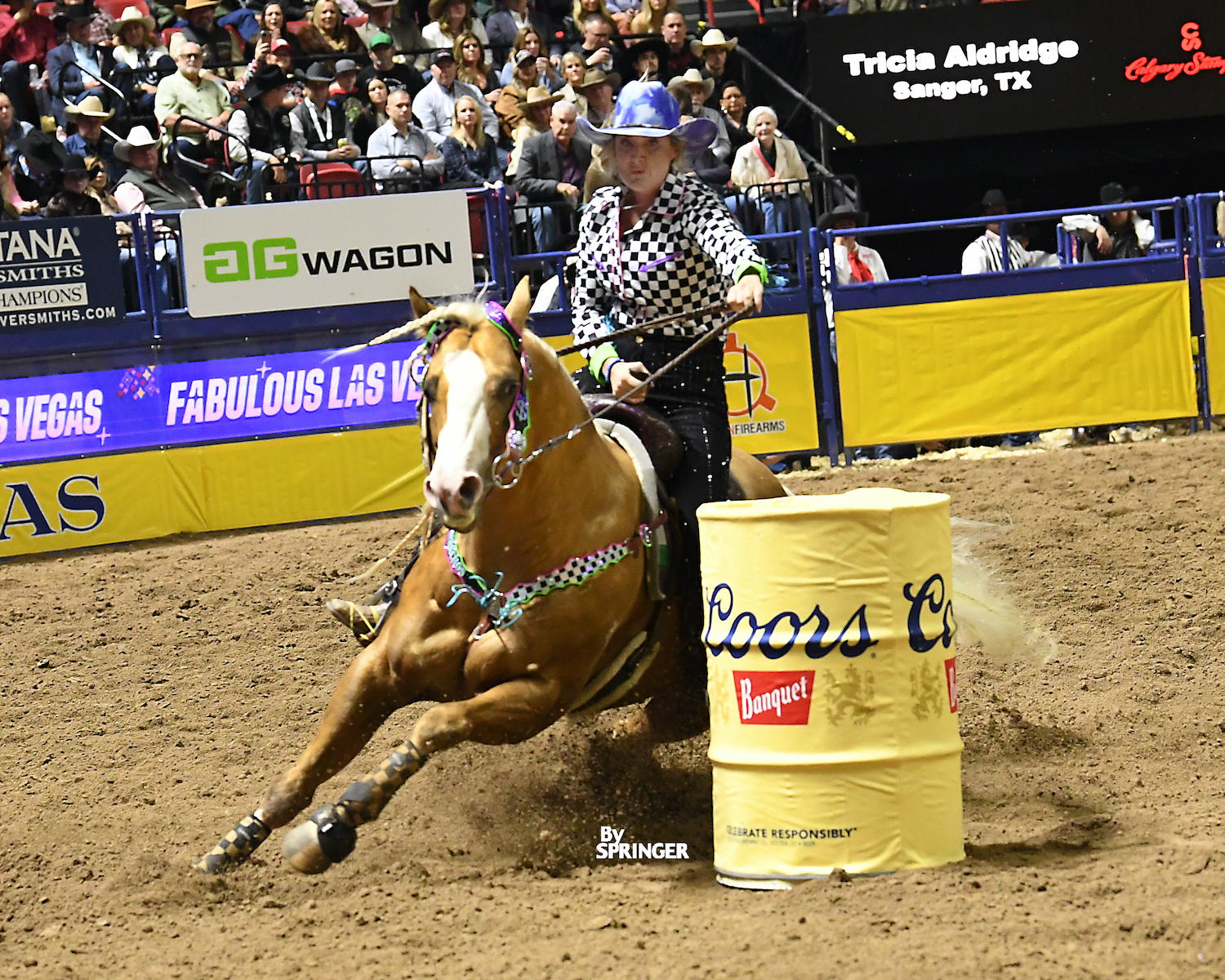 Golden Girl: Hailey Kinsel Wins Round Two of the Wrangler NFR - Barrel ...