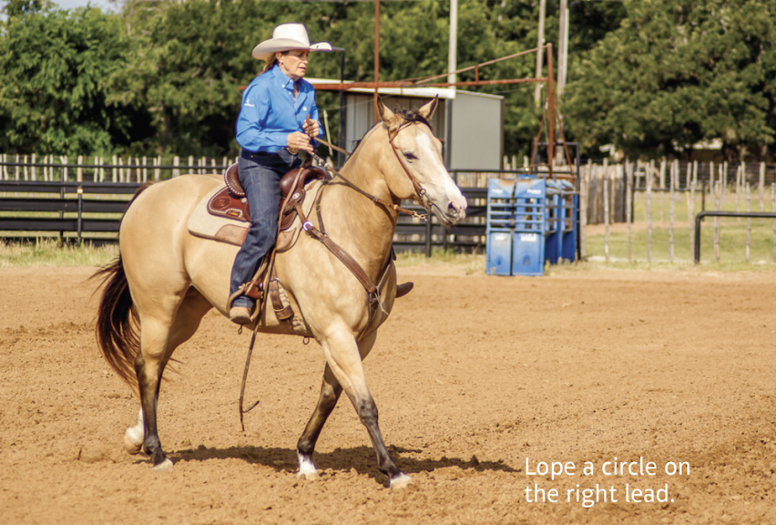 Simple to Flying Lead Changes - Barrel Horse News