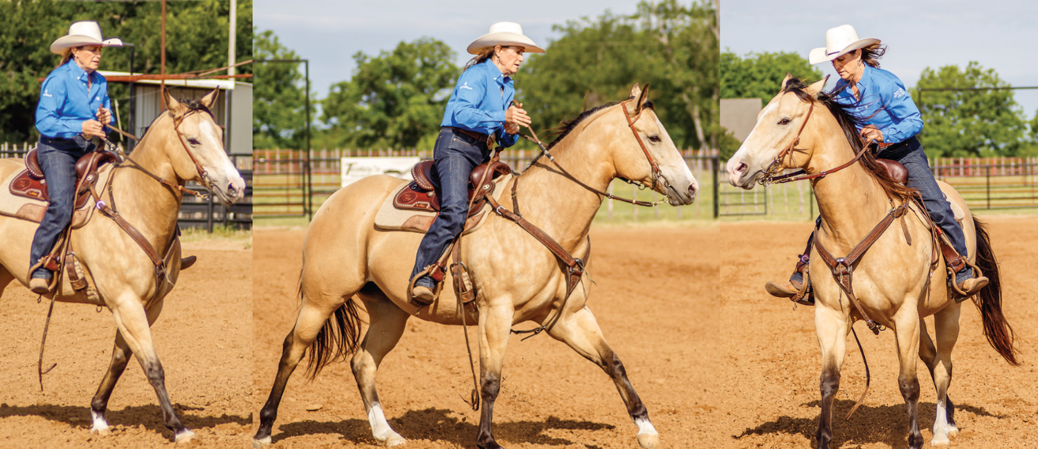 Simple to Flying Lead Changes - Barrel Horse News